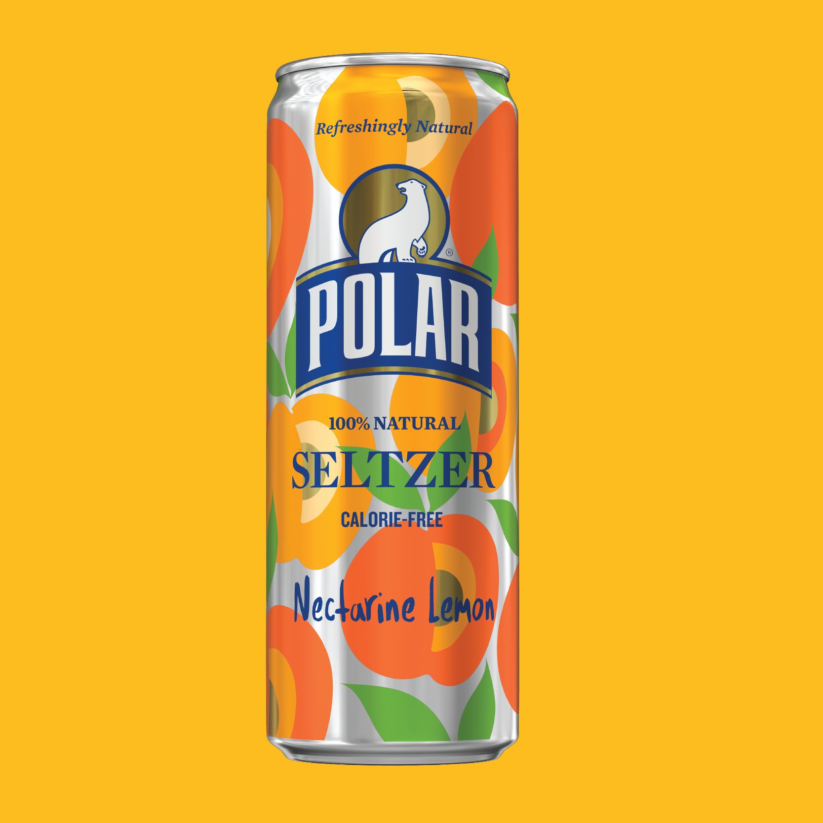 Summer 2019: Drink It In - Polar Seltzer