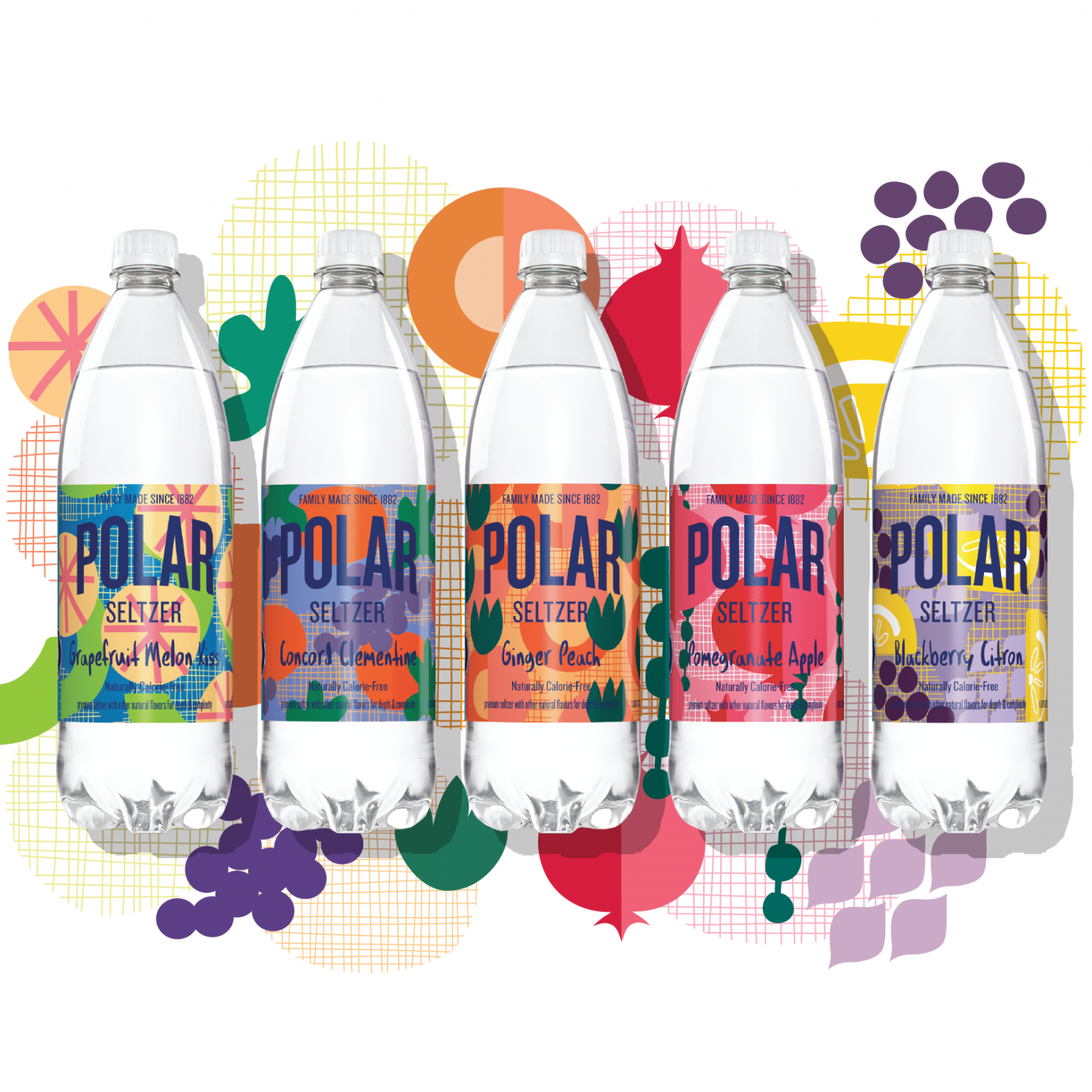About - Polar Seltzer